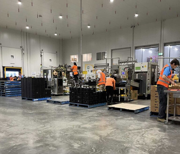 Logical Labour Solutions – Trusted Labour Hire Services